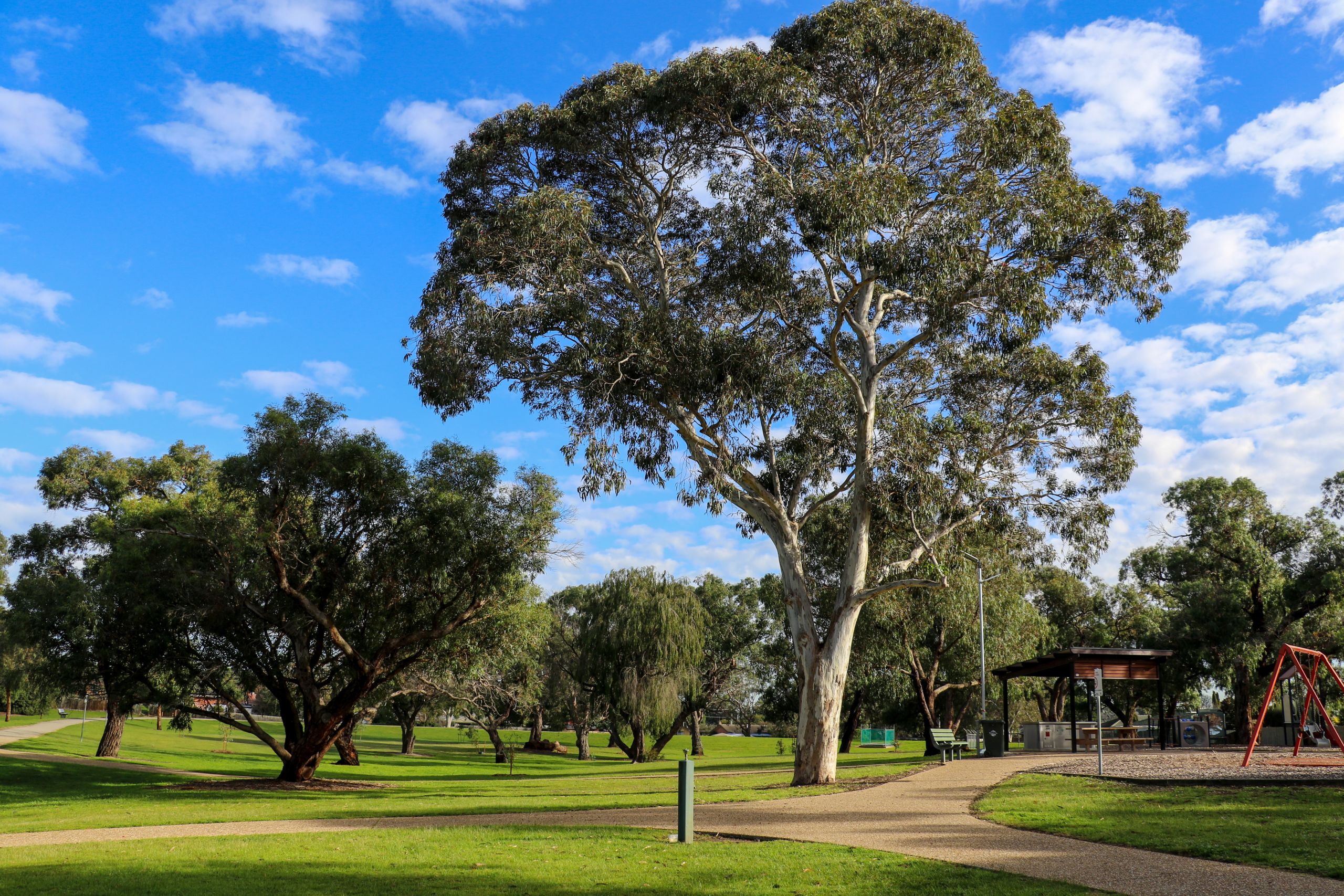 Wingham Park, Frankston | Engage Frankston!