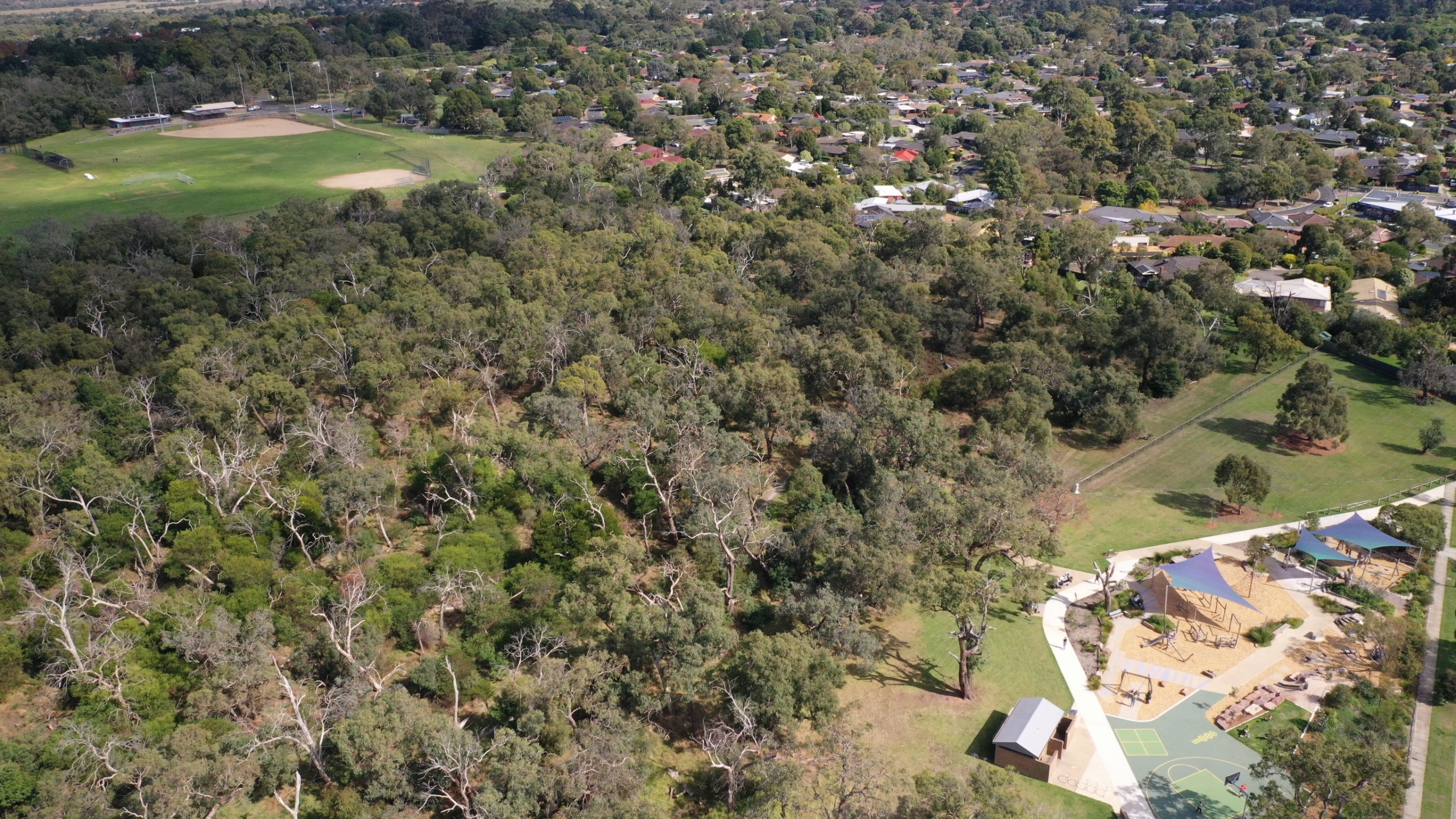 Witternberg Bushland Reserve - Proposed native vegetation offset site | Engage Frankston!
